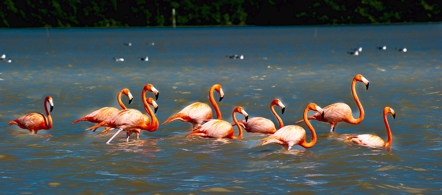 10 cosas para hacer en Mérida